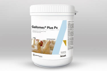 GALLOMEC® PLUS PX Antiparasitario a base de praziquantel para aves