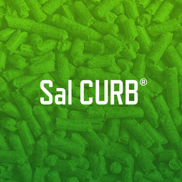 Sal CURB® aditivo conservante para aves y cerdos