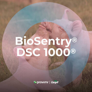 BioSentry® DSC 1000® detergente esterilizador para granja porcina