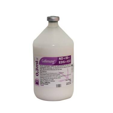 GALLIMUNE 503 x 300 ml Vacuna inactivada para aves