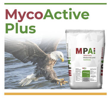 MycoActive Plus adsorbente de micotoxinas