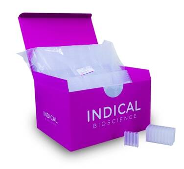 DIVAAGEN: Productos (38290)