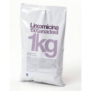 Lincomicina 150 Ganadexil antiifeccioso oral para aves y porcinos