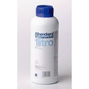 LIVISTO: Productos (25579)