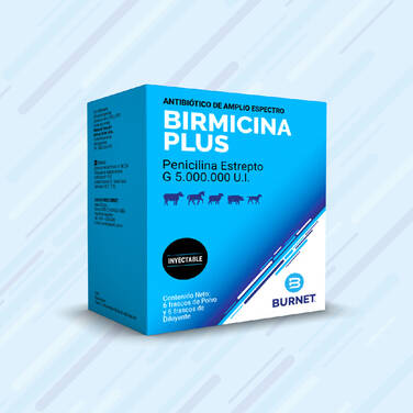 Birmicina Plus Antibiótico para bovinos, equinos, ovinos, porcinos