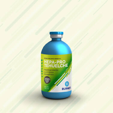 Hepa Pro Tehuelche Hepatoprotector inyectable para equinos