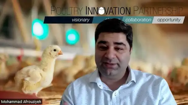 Importance of water in poultry production / Introducing the PIP Poultry ...
