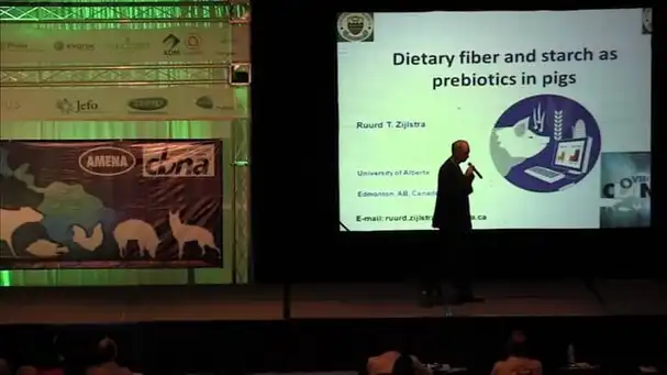 Ruurd Zijlstra talks about dietary fiber and starch as prebiotics in ...