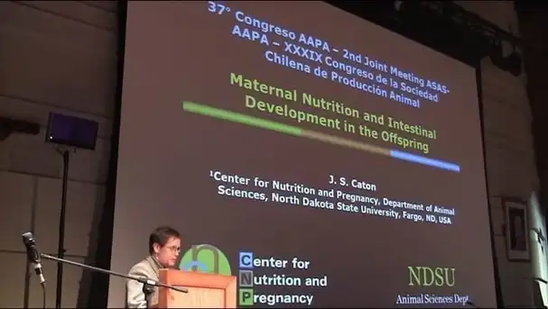 Maternal Nutrition and Intestinal Development in the Offspring. J ...