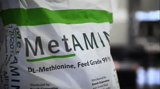 Best results with MetAMINO® | Evonik Animal Nutrition | Engormix