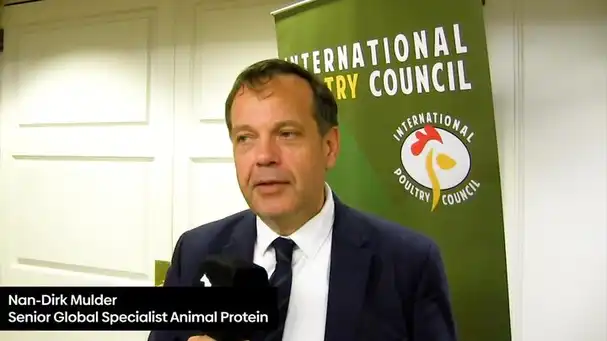 Nan-Dirk Mulder explains recent poultry industry trends and comments on ...