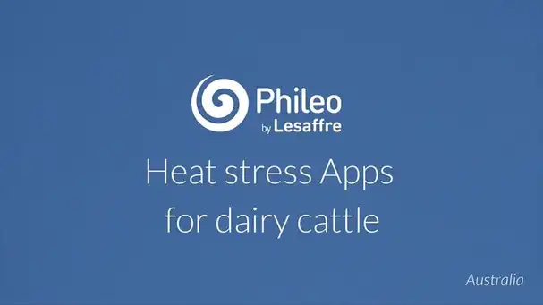 Heat stress Apps for dairy cattle | Engormix