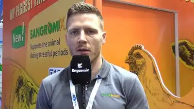 Innovative herbal formulation with natural vitamin D | Engormix