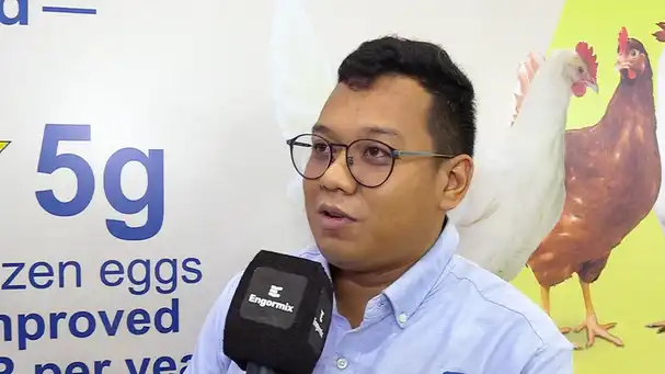 Egg Consumption Trends in Southeast Asia | Engormix