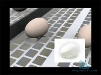 Step 3: Controlled hatching egg storage | Engormix