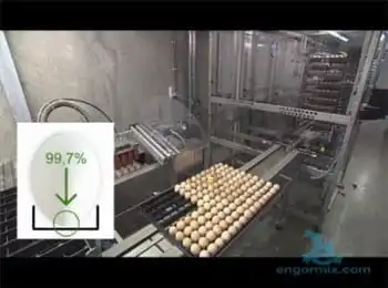 Step 4: Prevention of floor eggs | Engormix
