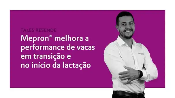 Metionina melhora a performance de vacas | Engormix