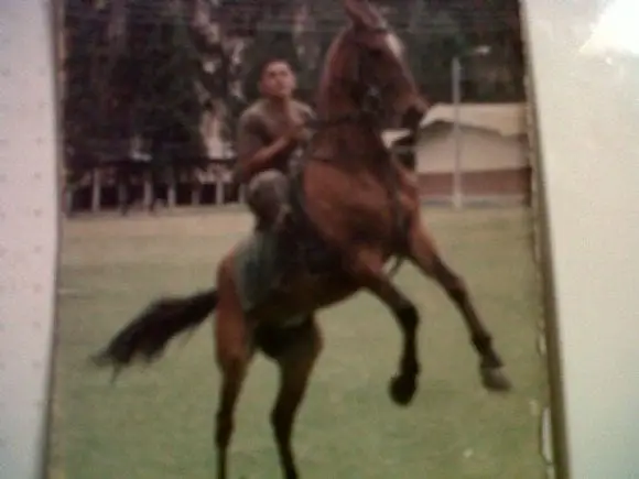 la chivila. Ref: 20129