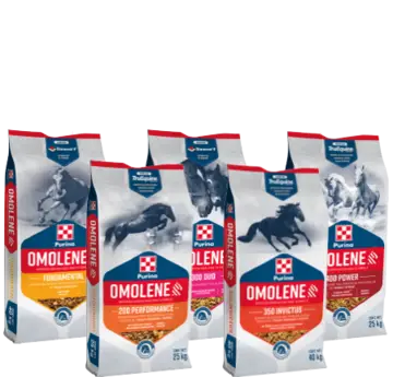 OMOLENE alimento balanceado para equinos