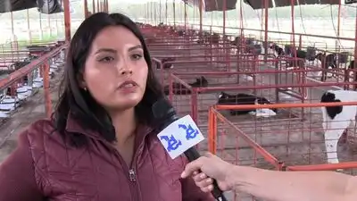 Crianza de becerras | Engormix