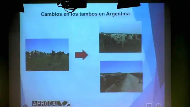 Manejo Sanitario en crianza de ternera o becerra | Engormix