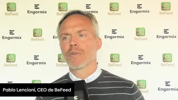 Función de la Colina en la nutrición avícola | Engormix