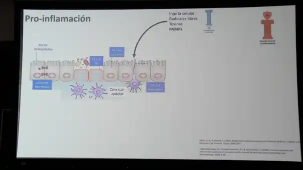 Modulación de la microbiota: base de la nutrición de precisión | Engormix