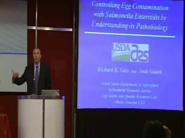 Salmonella Enterica, Contaminación de huevo. Richard Gast (USDA) | Engormix
