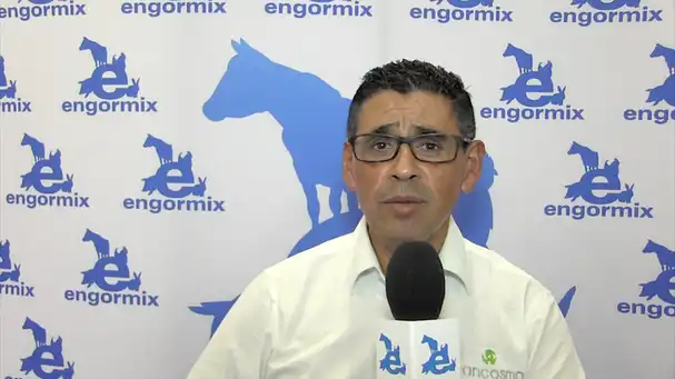 Edulcorantes para incrementar el consumo - SUCRAM® | Engormix