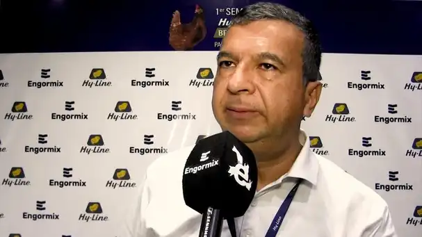 Preparando las aves para ciclos únicos | Engormix