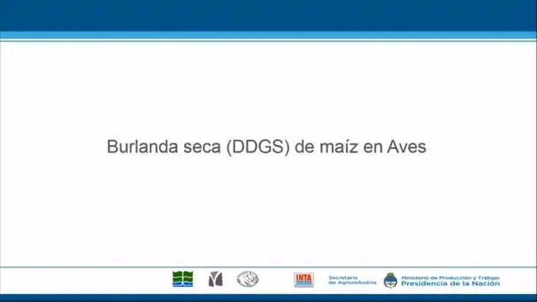 Burlanda Seca (DDGS) de Maíz en Aves | Engormix