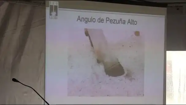 Genetica en patas. Fernando Testa | Engormix