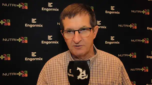 Producción de leche en cerdas: Claves para un crecimiento óptimo del lechón | Engormix