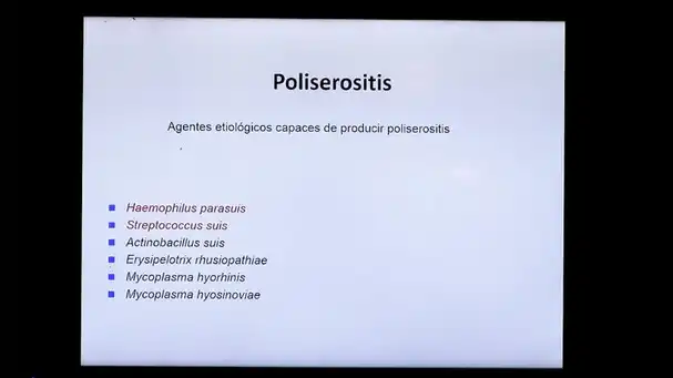 Poliserositis en la recría de cerdos | Engormix