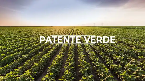 La Patente Verde de YES | Engormix