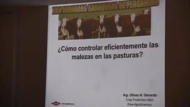 Cómo controlar eficientemente las malezas en las pasturas, puesta al ...