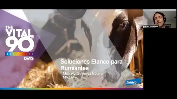 SEL Latam 2022 - Manejo integral durante los 90 días vitales | Engormix
