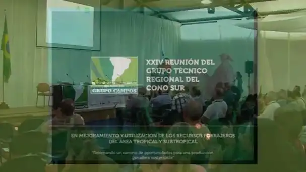 Rol de las pasturas cultivadas en los sistemas de la región campos ...