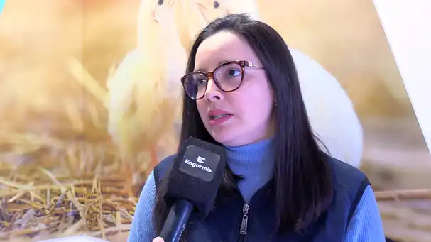 Protección del hígado de las aves | Engormix