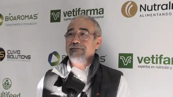 Calidad y conservación de materias primas en alimentos balanceados | Engormix